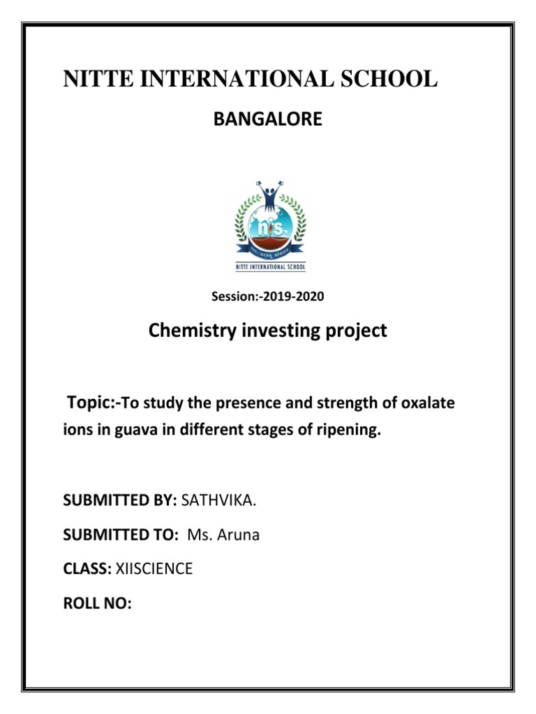 Nitte International School: Bangalore | PDF | Dietary Fiber | Diet ...