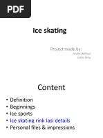 Top 17 Ice Sports Explained | PDF | Sledding | Ice Hockey