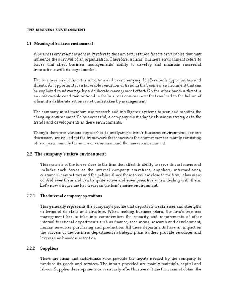 Business Environment Analysis Overview | PDF | Business | Marketing