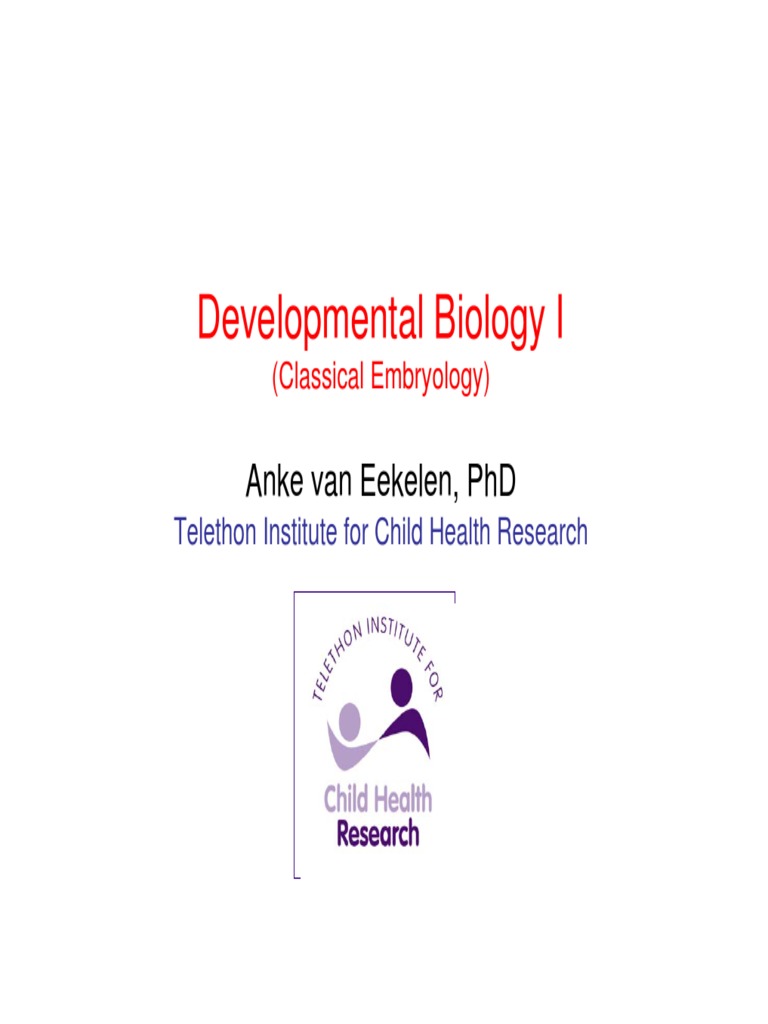 Developmental Biology I: The Emergence of Organized Structures Through ...