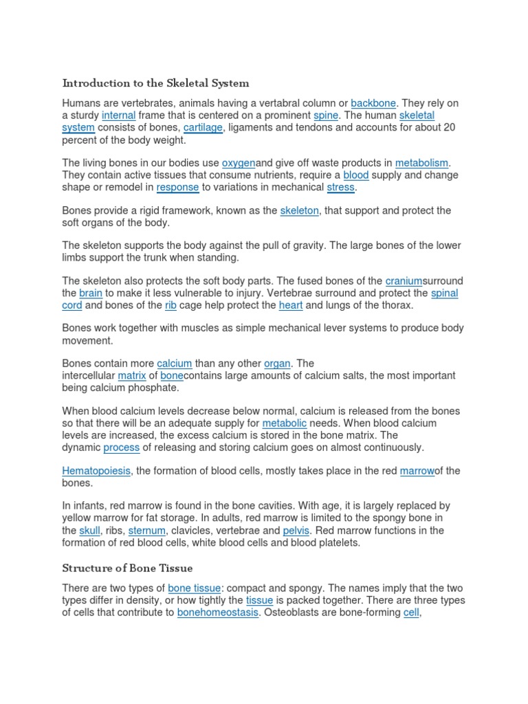 SkeletAl System | PDF | Bone | Skeleton