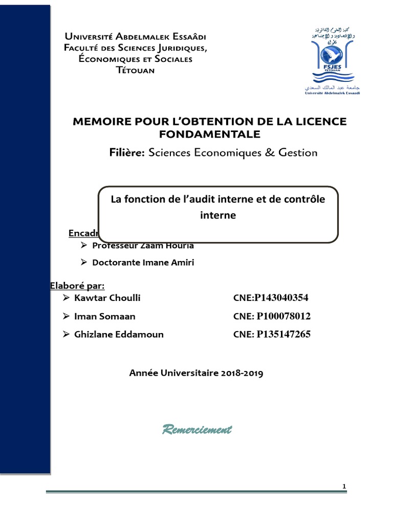 PFE | PDF | Audit interne | Audit