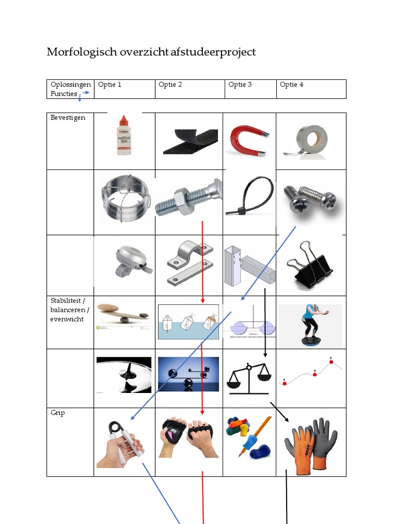 Morfologisch Overzicht Afstudeerproject | PDF