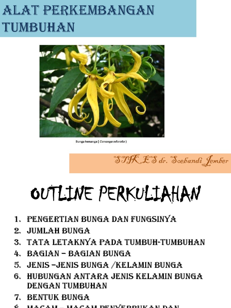 Materi Bunga Botani | PDF