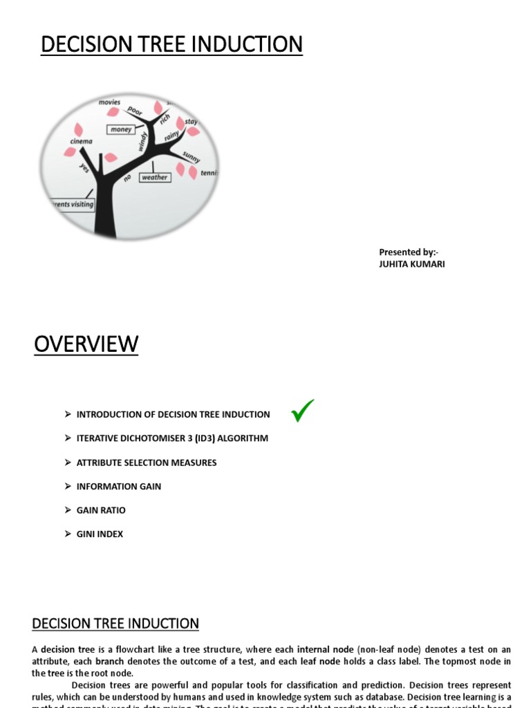 Decision Tree Induction | PDF | Theoretical Computer Science | Data Management