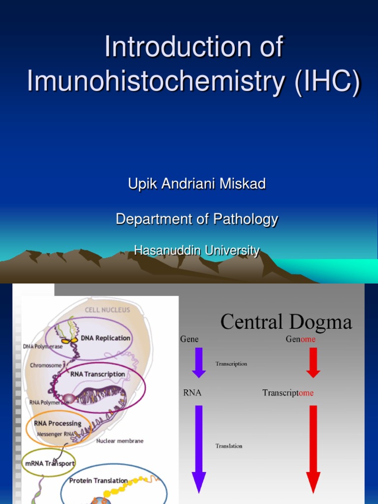 Immunology IHC Lecture | PDF | Immunohistochemistry | Polyclonal B Cell ...