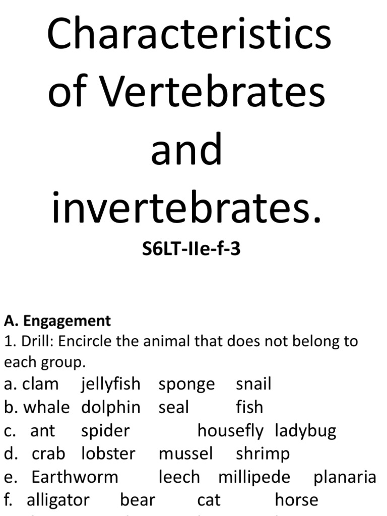 Vertebrates vs. Invertebrates Guide | PDF