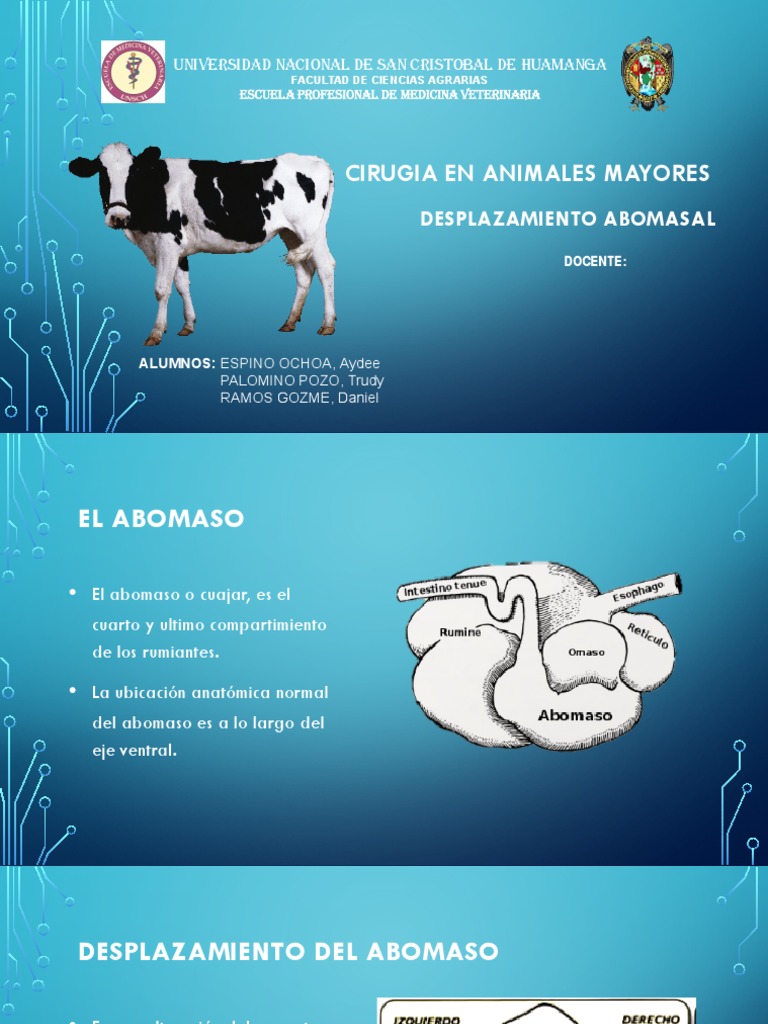 Desplazamiento Abomaso | PDF | Especialidades Medicas | Medicina