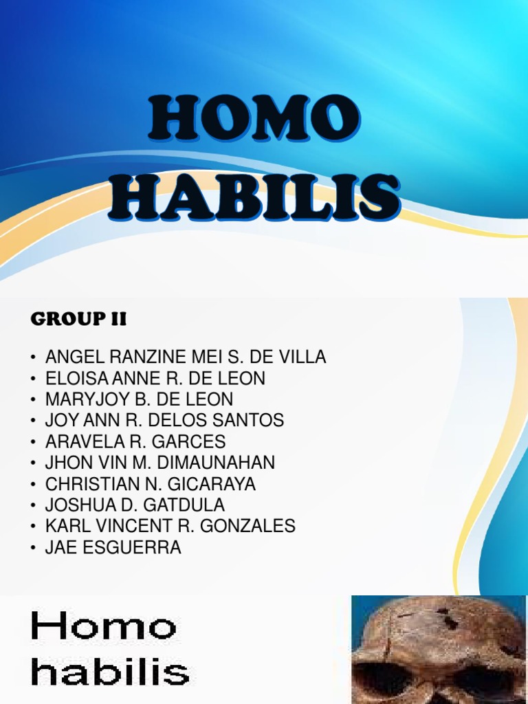 Homo Habilis | PDF