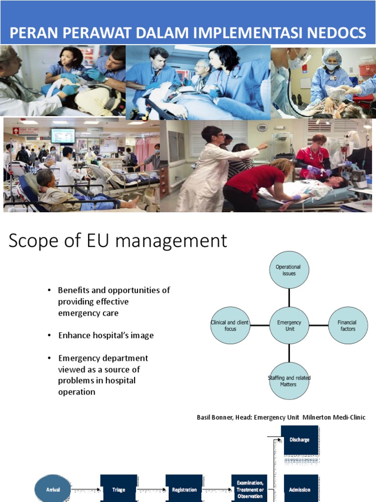 Peran Perawat Dalam Implementasi Nedocs | PDF