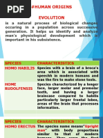 Lithic Stone Tool Typology PDF | PDF | Artifact (Archaeology) | Neolithic