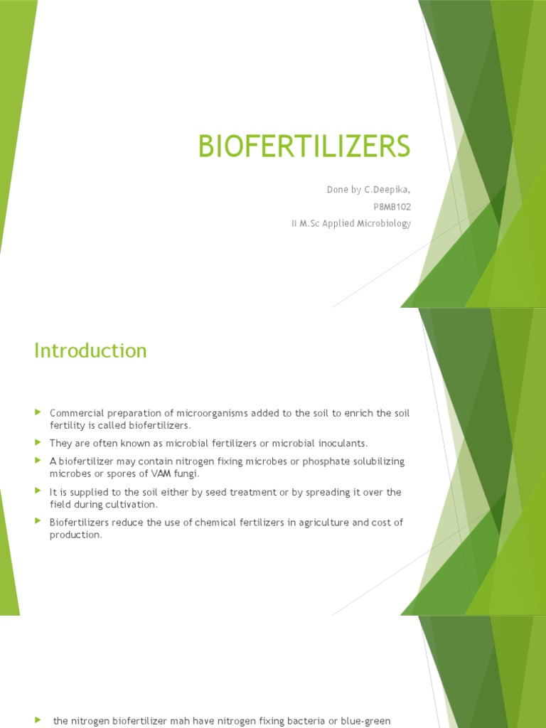 Understanding Biofertilizers and Their Benefits | PDF | Fungus | Soil