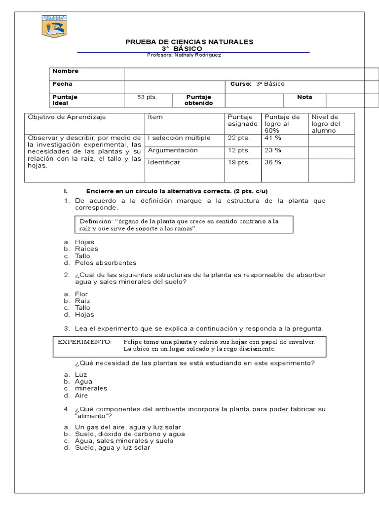 Prueba Cs. Nat. Octubre | PDF | Flores | Plantas
