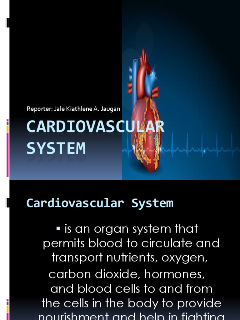 Cardiovascular System Explained | PDF | Circulatory System | Blood