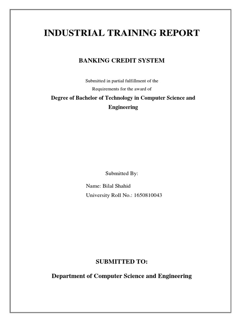 Banking Credit System Analysis Report | PDF | Python (Programming ...