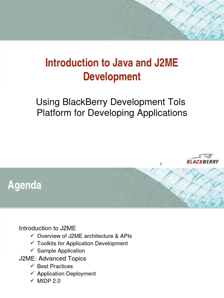 Blackberry and Java | PDF | Java (Programming Language) | Application Programming Interface