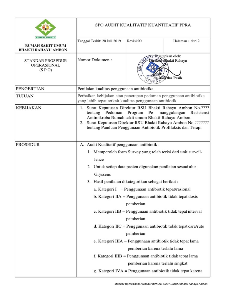 Spo Audit Kualitatif PPRA | PDF