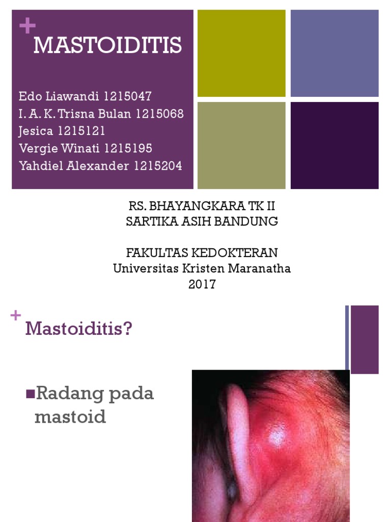 Mastoiditis | PDF | Kesehatan Holistik