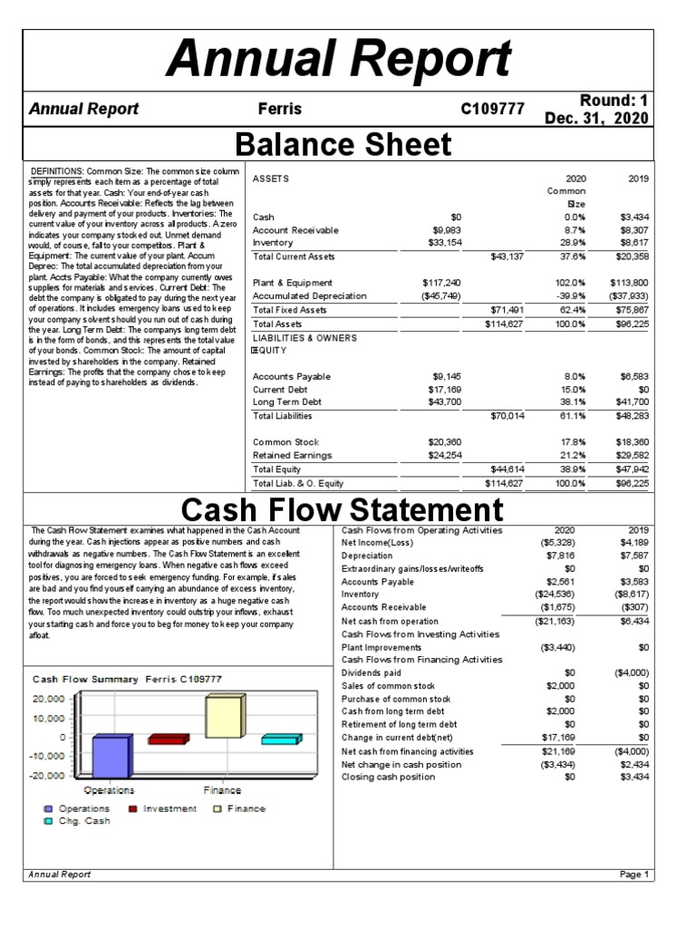 Annual Report: Balance Sheet | PDF | Cash Flow Statement | Equity (Finance)