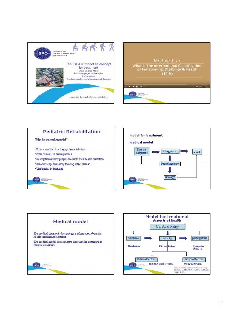 Pediatric Rehabilitation: The ICF-CY Model As Concept For Treatment ...
