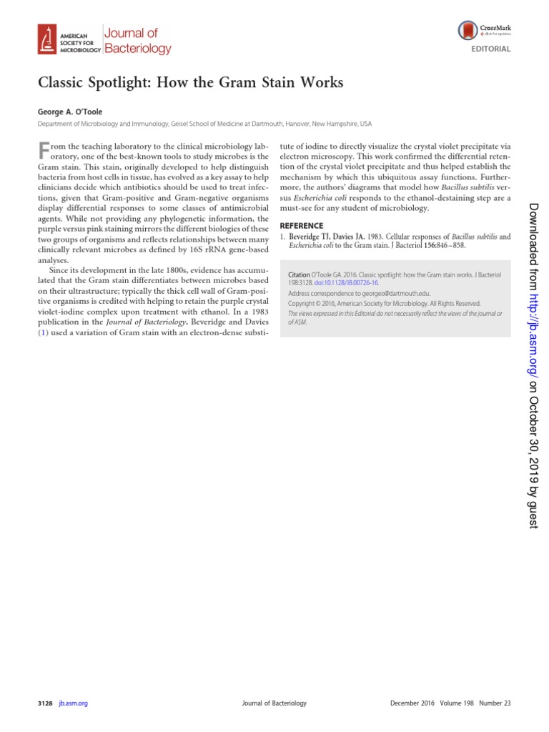 Classic Spotlight: How The Gram Stain Works: Crossmark | PDF | Staining ...