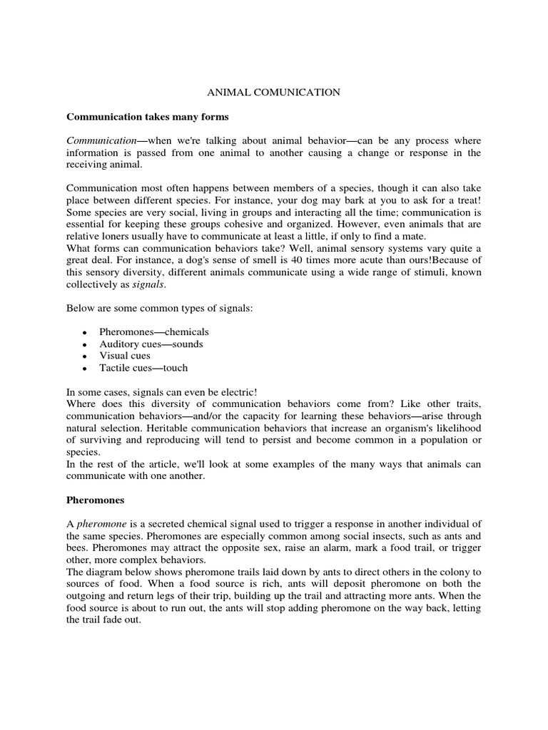 Communication Takes Many Forms: Communication-When We're Talking About ...