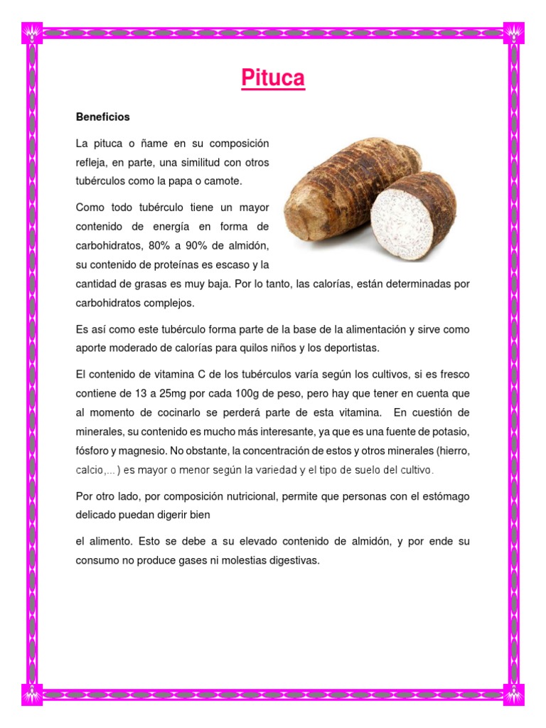 Recetas y Beneficios de la Pituca | PDF | Digestión | Alimentos
