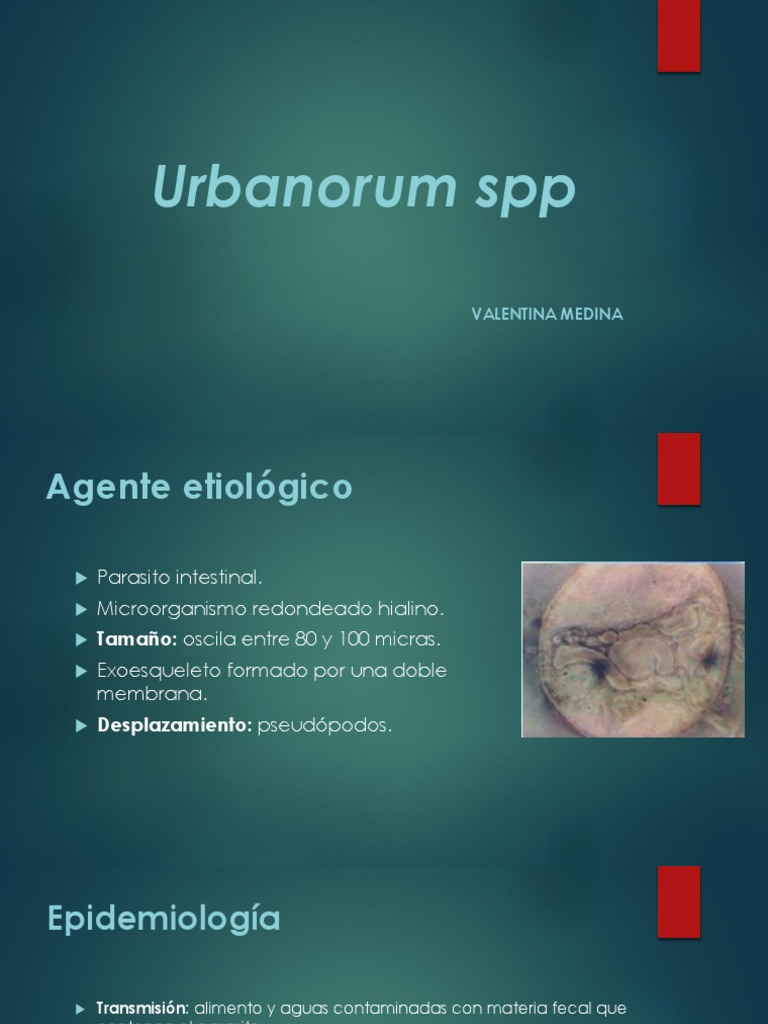 Urbanorum SPP | PDF | Lavado de manos | Heces