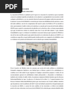 Reaccion de Molish | PDF | Carbohidratos | Reacciones químicas