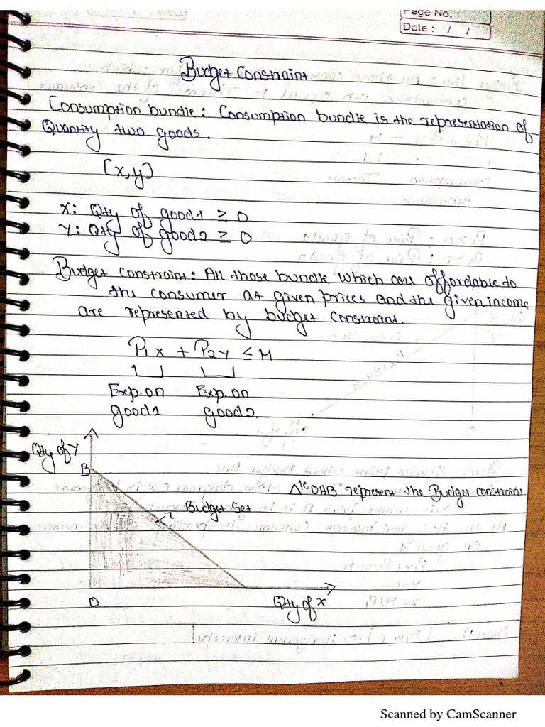 Budget Constraint | PDF