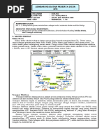 50 Contoh Soal Enzim, Metabolisme, & Pembahasannya Kelas 12 | PDF