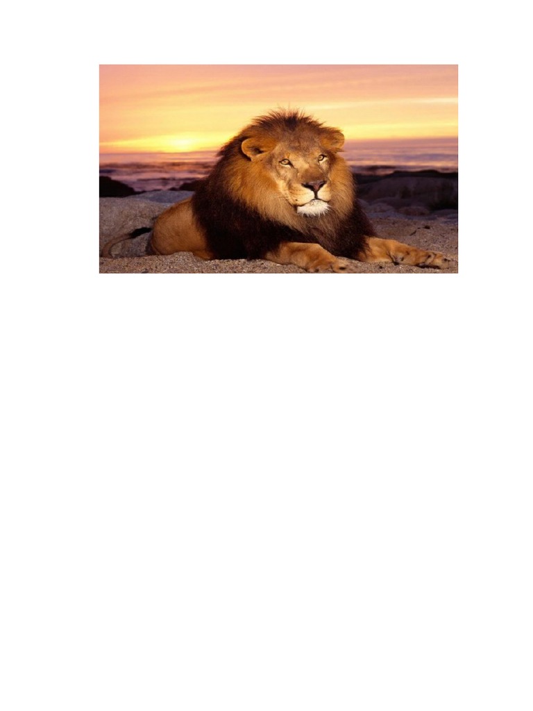 Gambar Singa | PDF