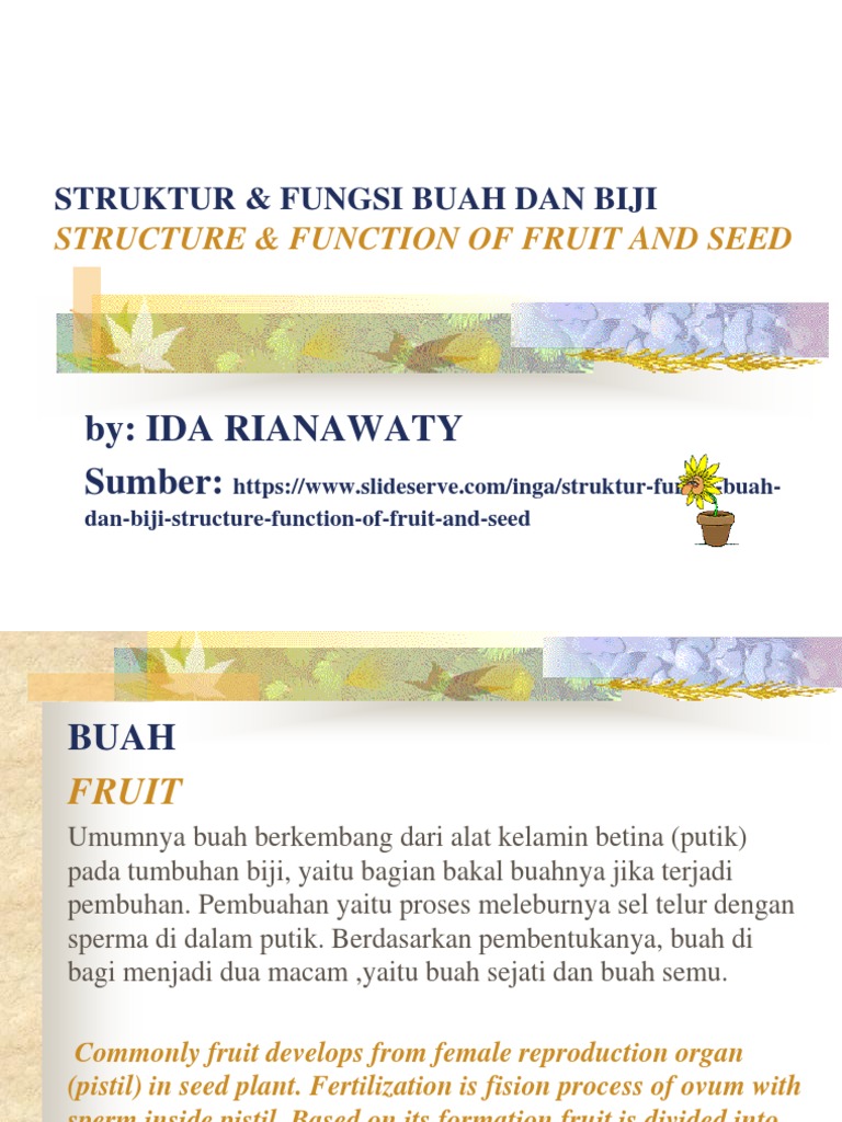 2 1 Struktur Fungsi Buah Dan Biji | PDF | Kesehatan Holistik | Sains ...