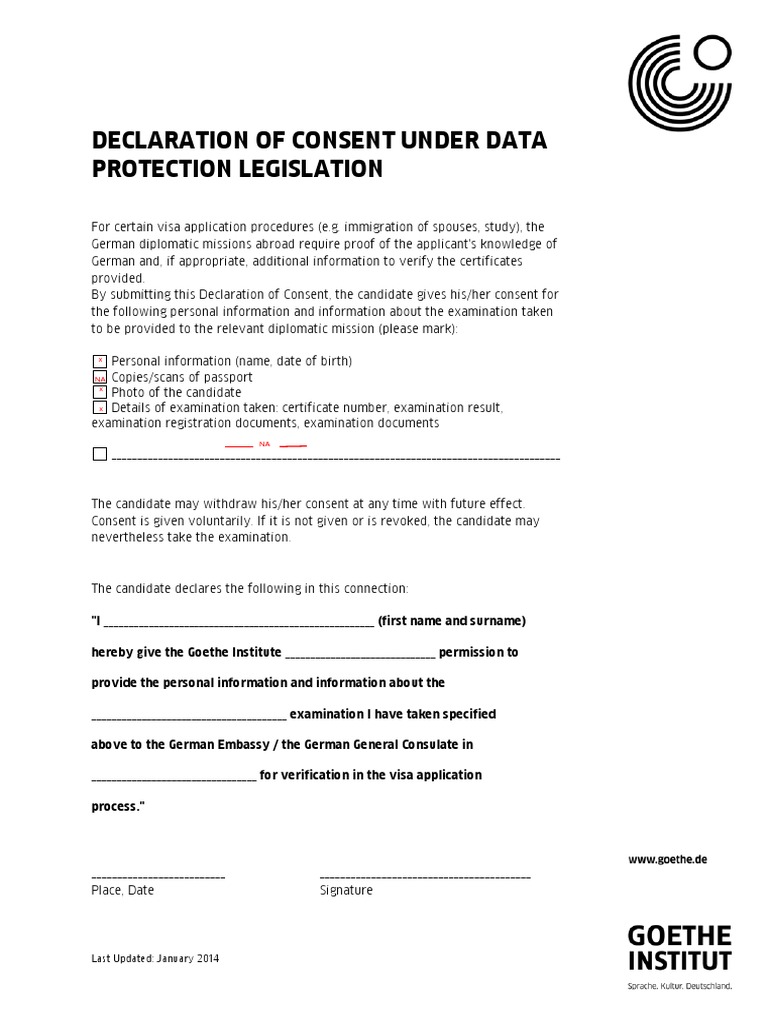Consent Declaration for Visa Application | PDF