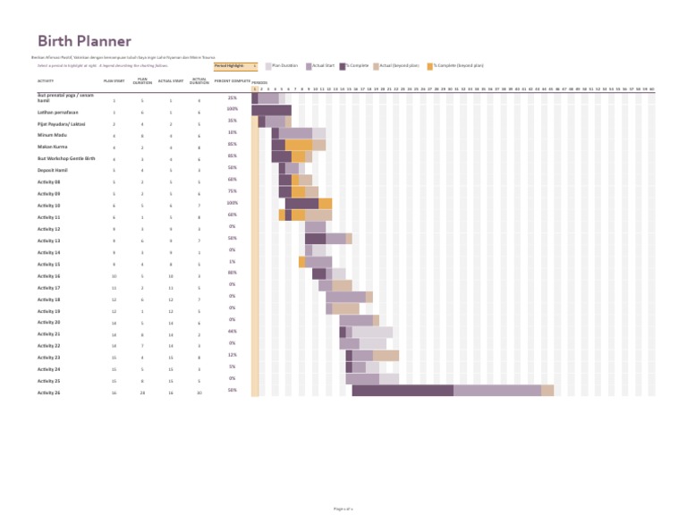 Comprehensive Birth Planning Guide | PDF