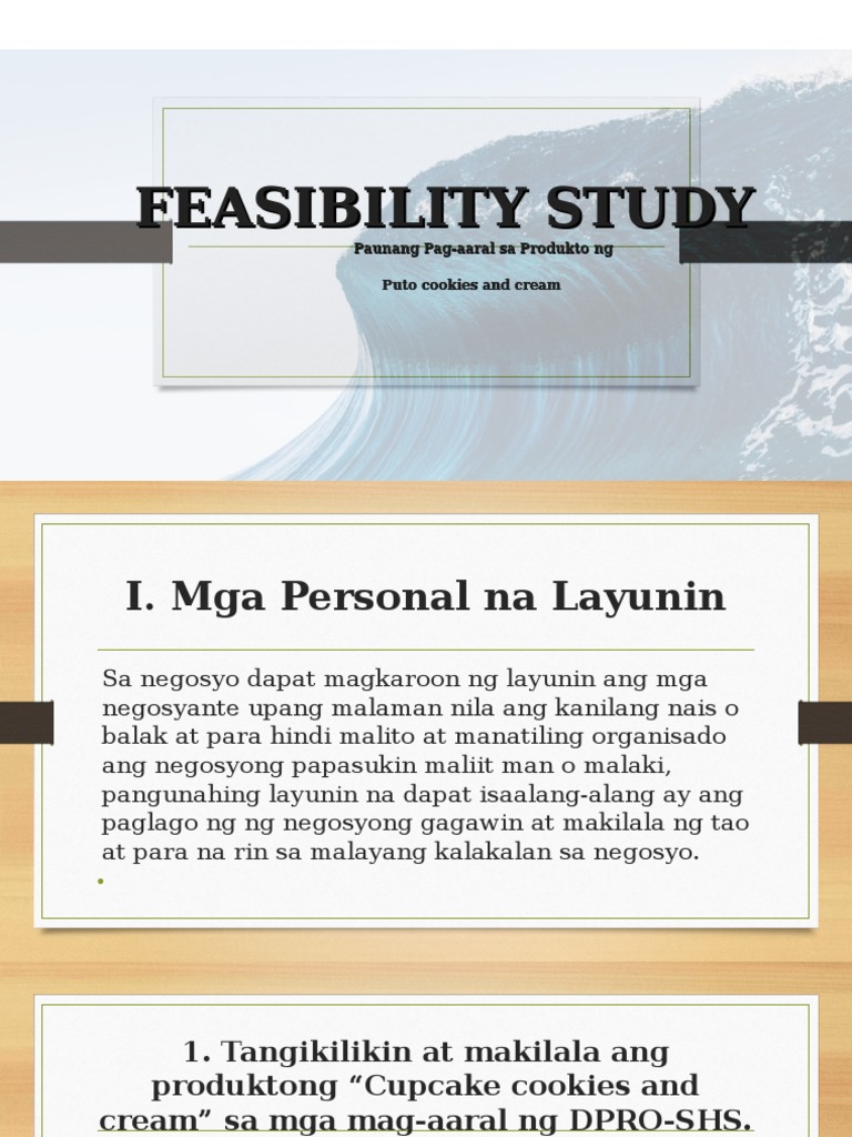 Feasibility Study | PDF