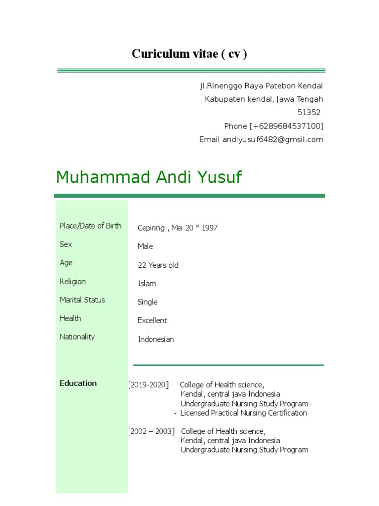 Muhammad Andi Yusuf: Curiculum Vitae (CV) | Download Free PDF | Indonesia | Nursing
