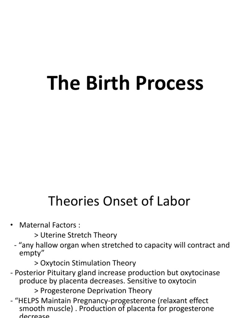 The Birth Process - Student | Download Free PDF | Childbirth | Pelvis