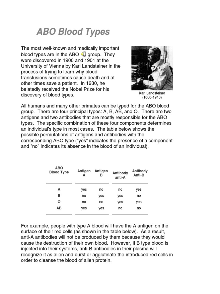 ABO Blood Types | PDF | Blood Type | Blood Donation