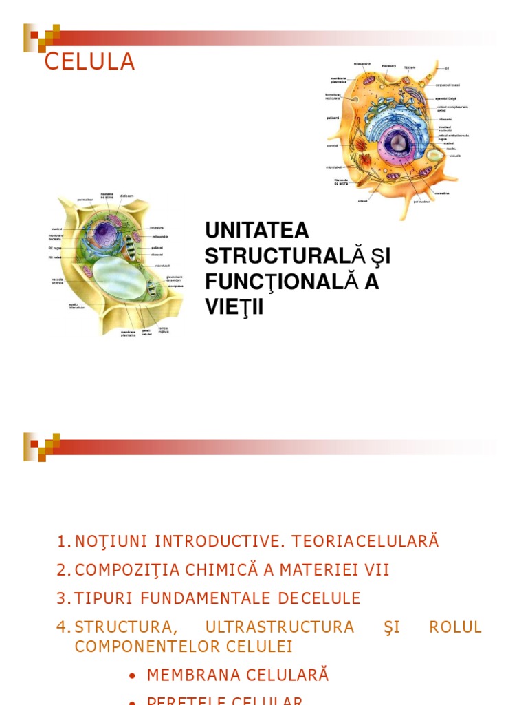 Celula Umana | PDF