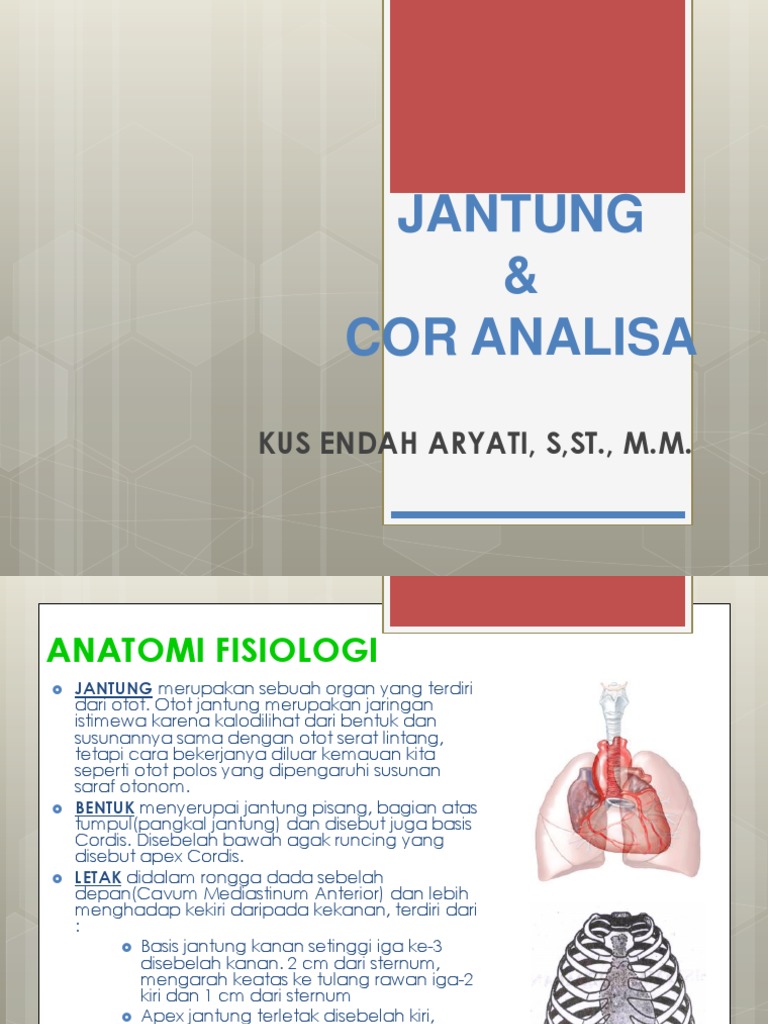 Anrad Jantung & Cor Analisa | PDF | Seni