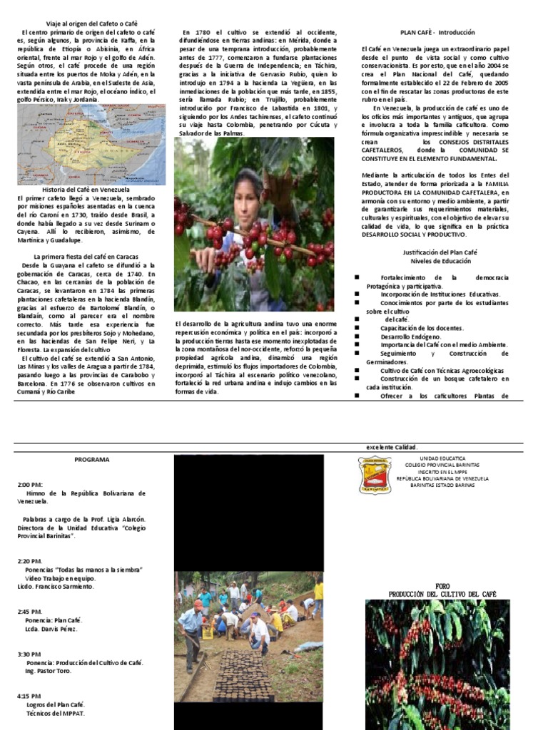 Triptico Sobre El Cafe | PDF | café | Venezuela