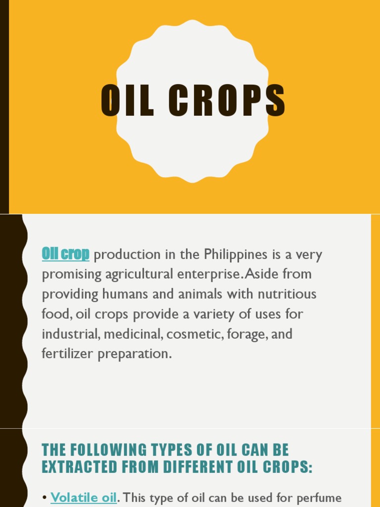 Oil Crops | PDF | Agriculture | Seed