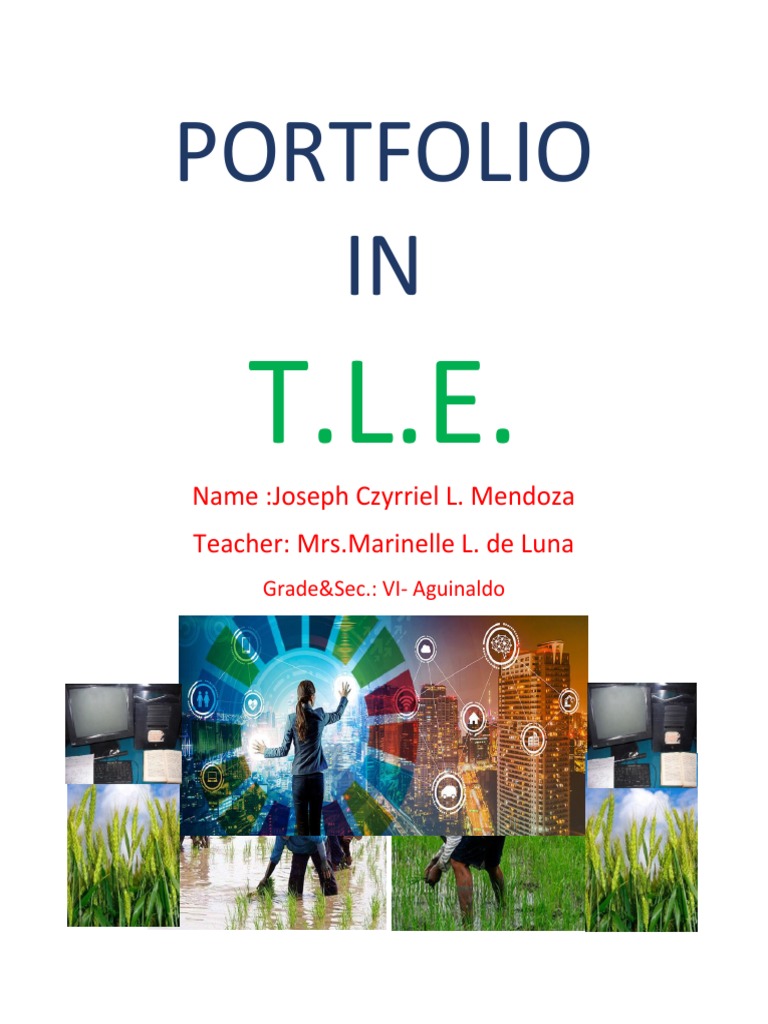 Portfolio in Tle (Grade Vi) | PDF