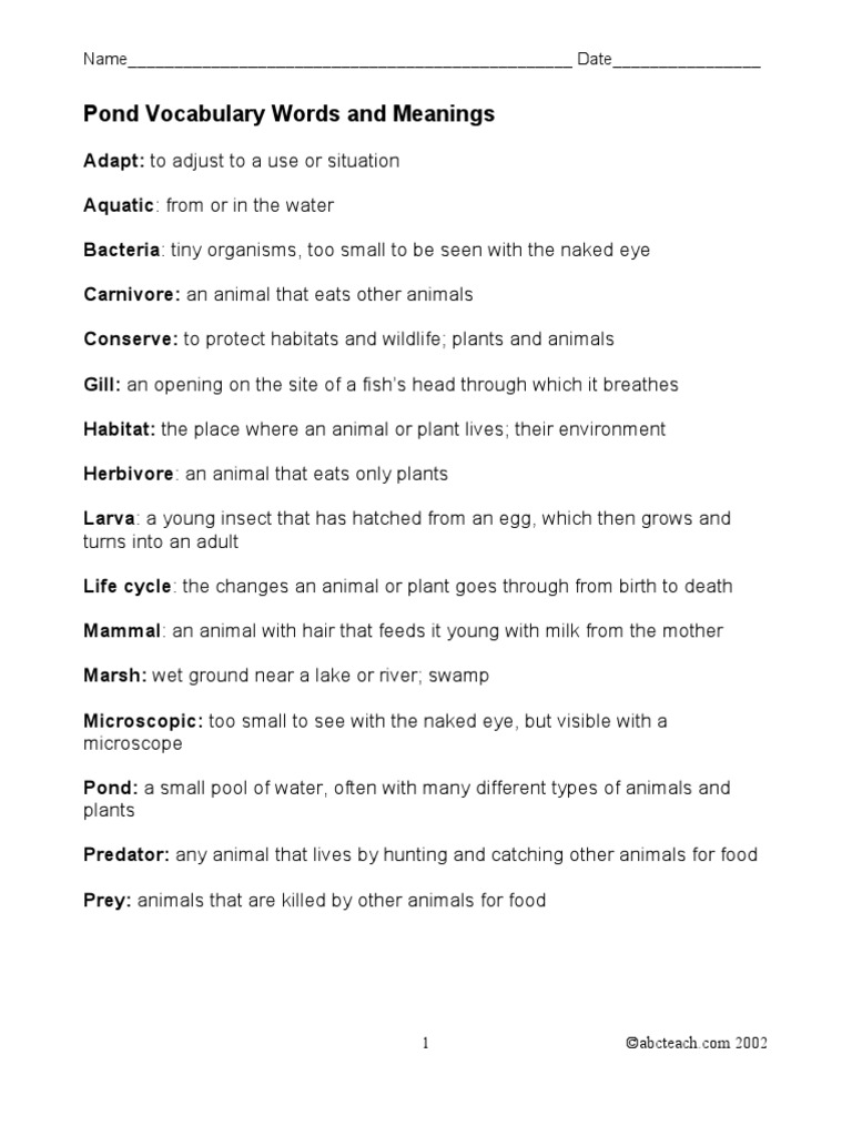 Pond Vocabulary Words and Meanings: Name - Date | PDF | Pond | Plants