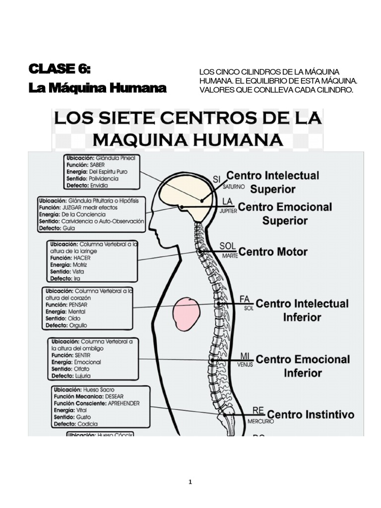 LECCION N°6 (Gnosis) LA MAQUINA HUMANA | PDF | Homo Sapiens | Mente