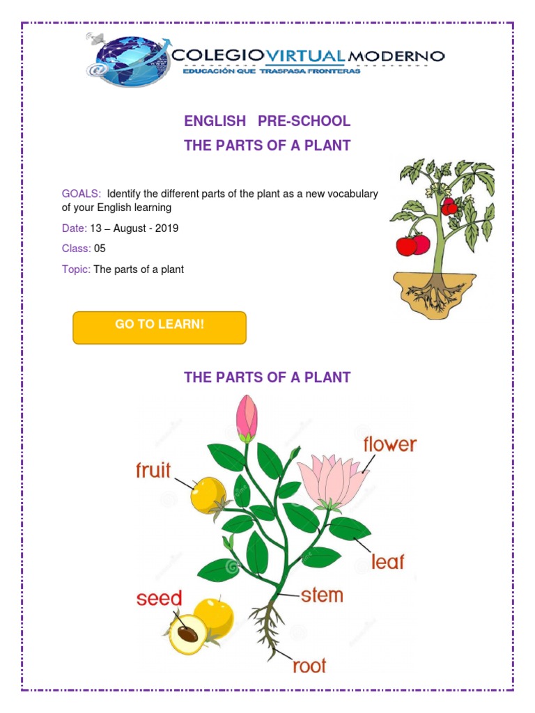 English Pre-School The Parts of A Plant: Go To Learn! | PDF