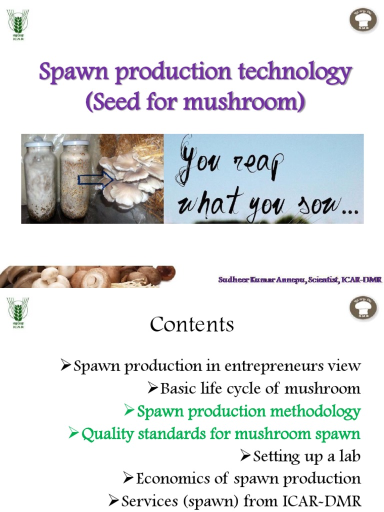 Spawn Production Technology (Seed For Mushroom) | PDF | Sterilization ...