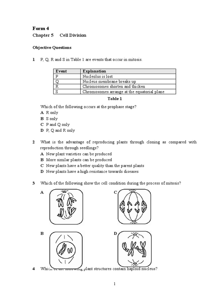 Bio Chapter 5 | PDF | Meiosis | Mitosis