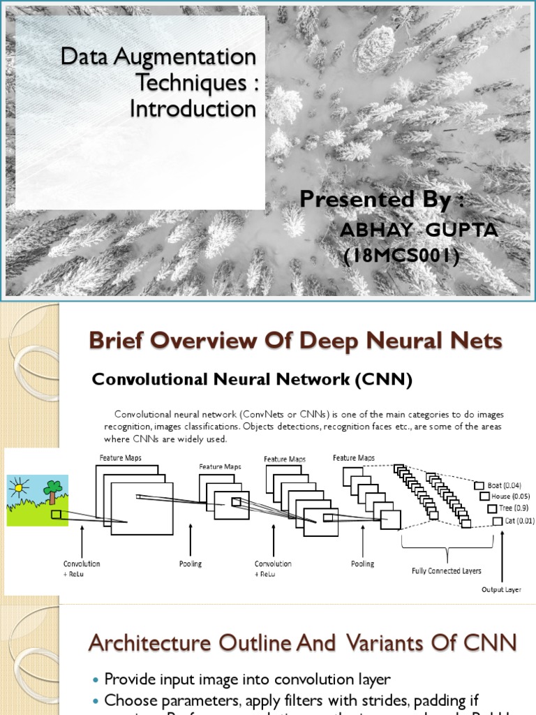 Data Augmentation Techniques I | PDF | Systems Thinking | Systems Science